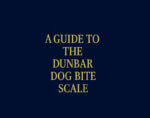 Level 3 Dog Bites | Dunbar Dog Bite Scale