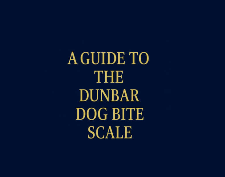 Level 3 Dog Bites | Dunbar Dog Bite Scale
